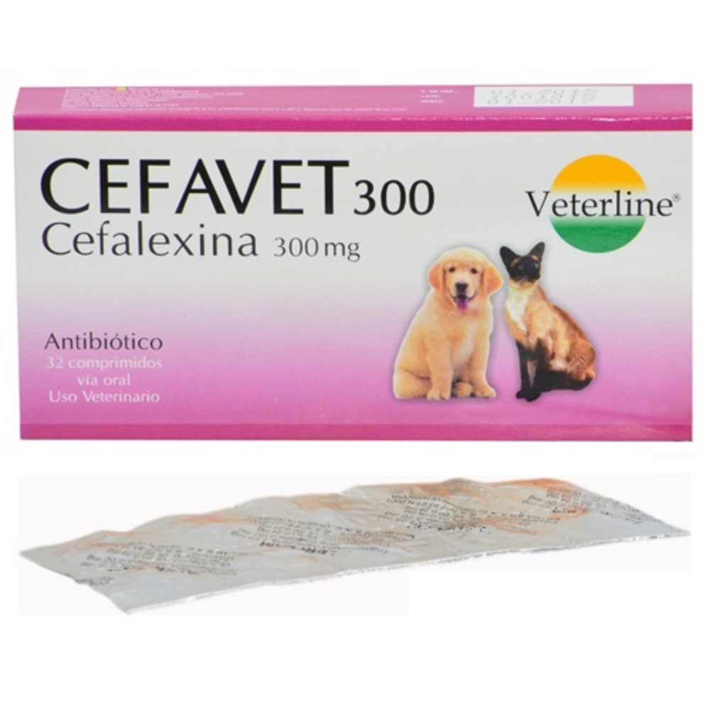 Cefavet 300 mg x Unidad y/o Caja – Lokipet